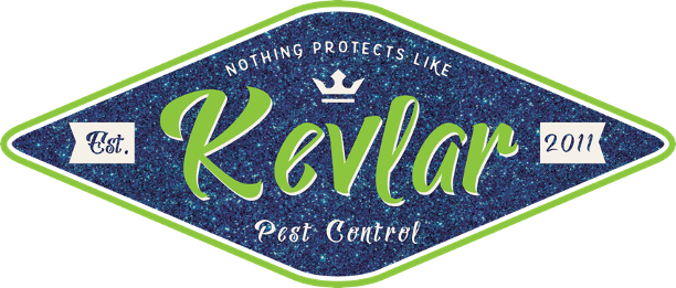 Do I Have to Wash Everything After Fumigation? - Kevlar Pest Control
